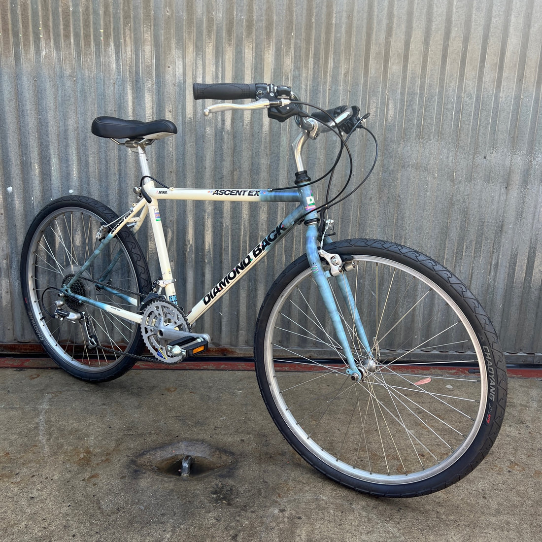 Diamondback Ascent Classic Vintage MTB as a City Bike – Coco's Variety